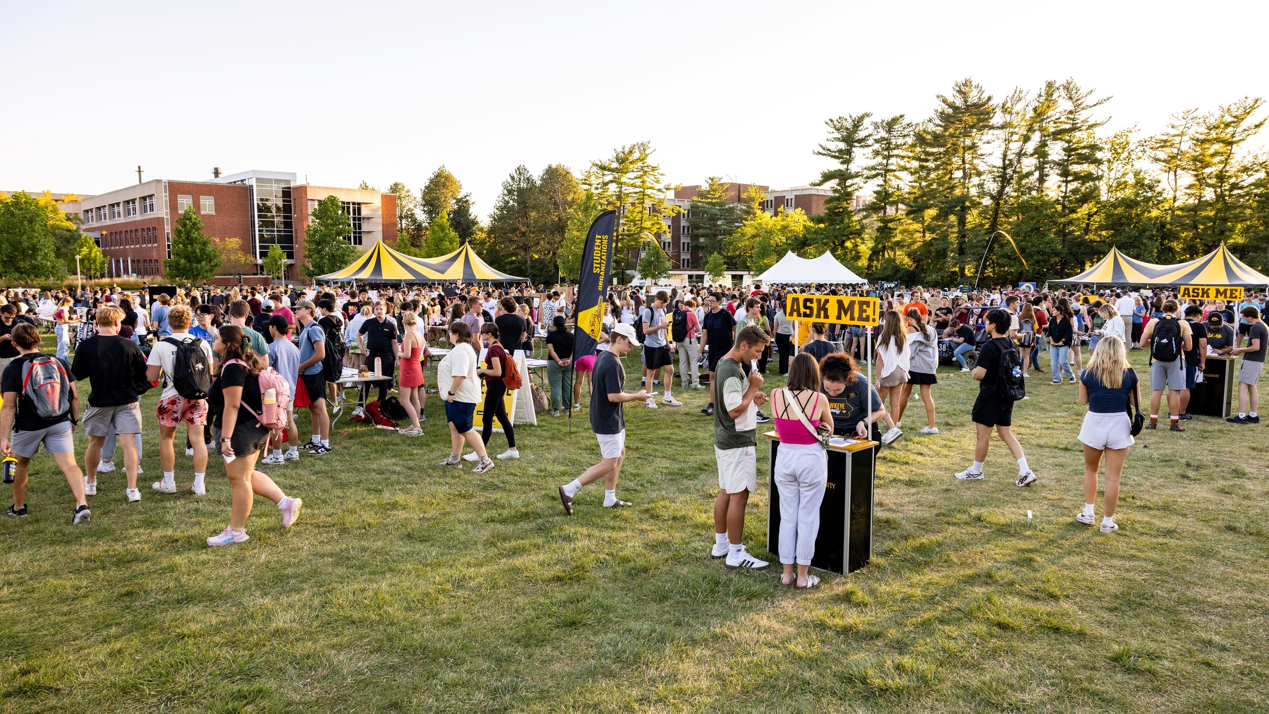 Internal Affairs | Undergraduate Student Government - Division of ...